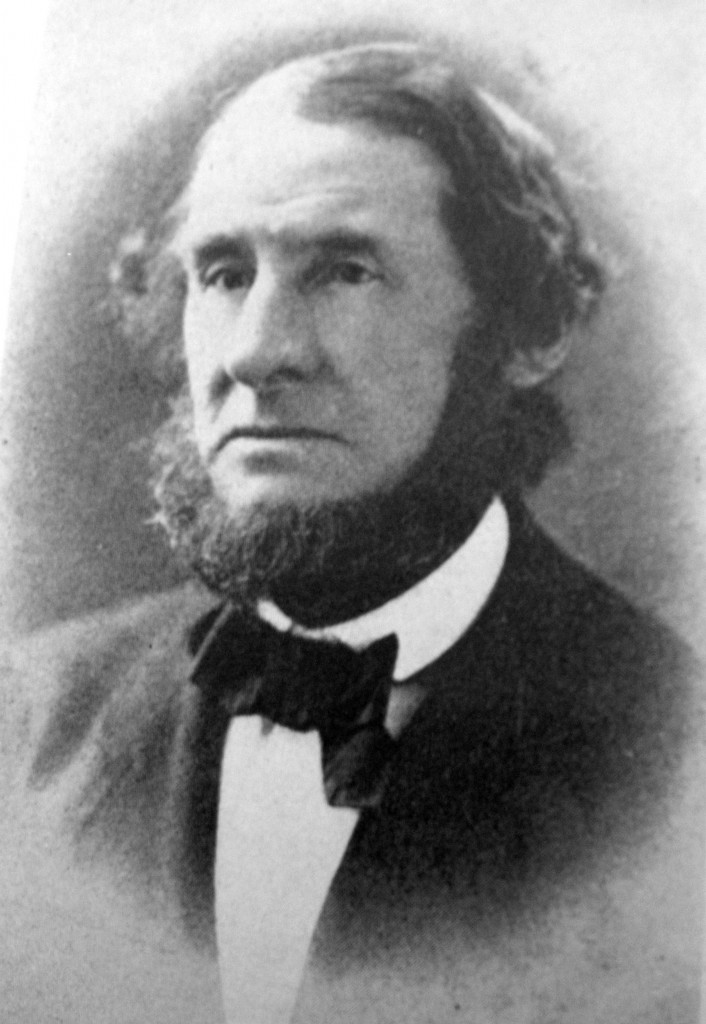 plant trees Archives | Neighborhood Forest