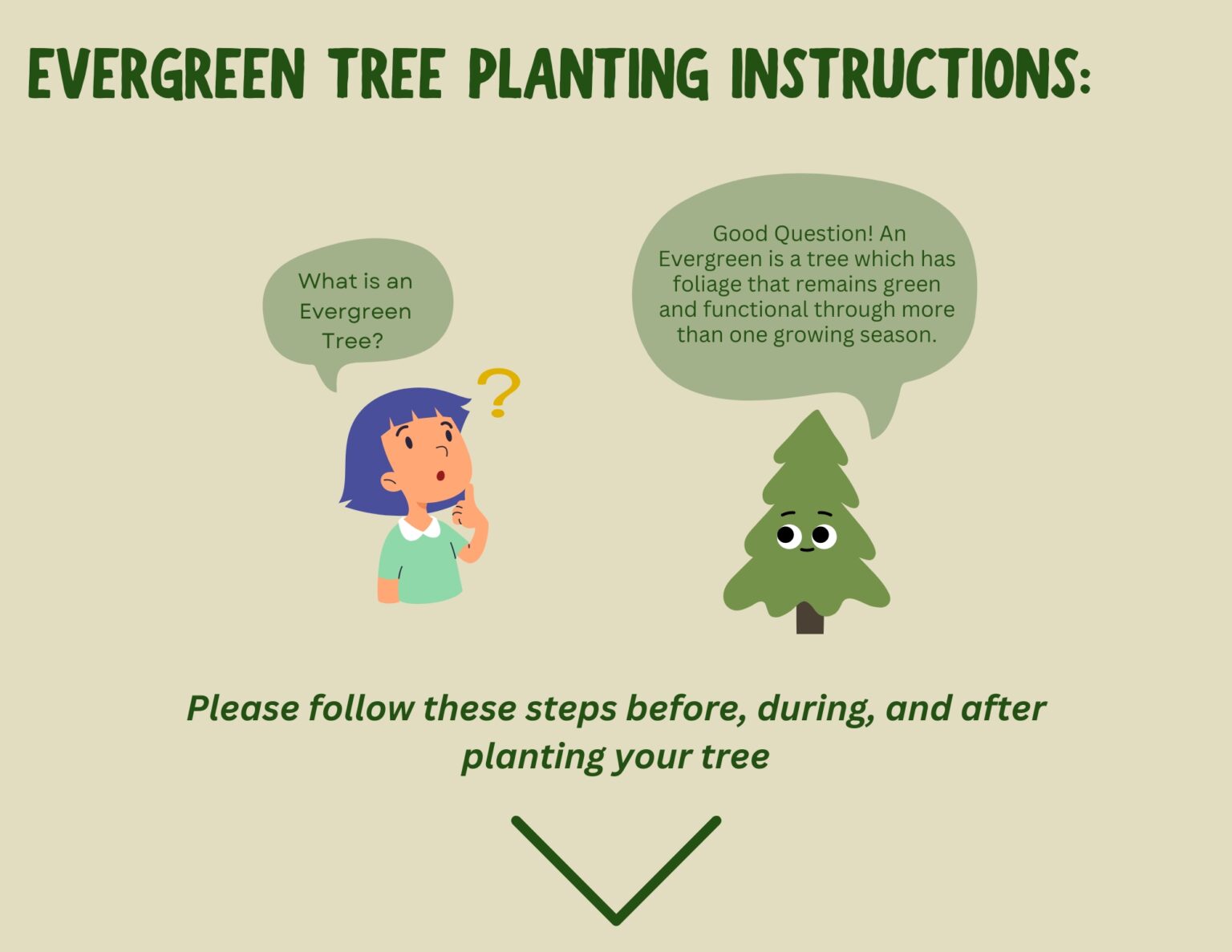 Tree Planting Instructions | Neighborhood Forest