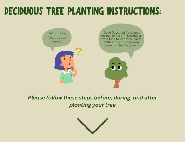 Tree Planting Instructions | Neighborhood Forest