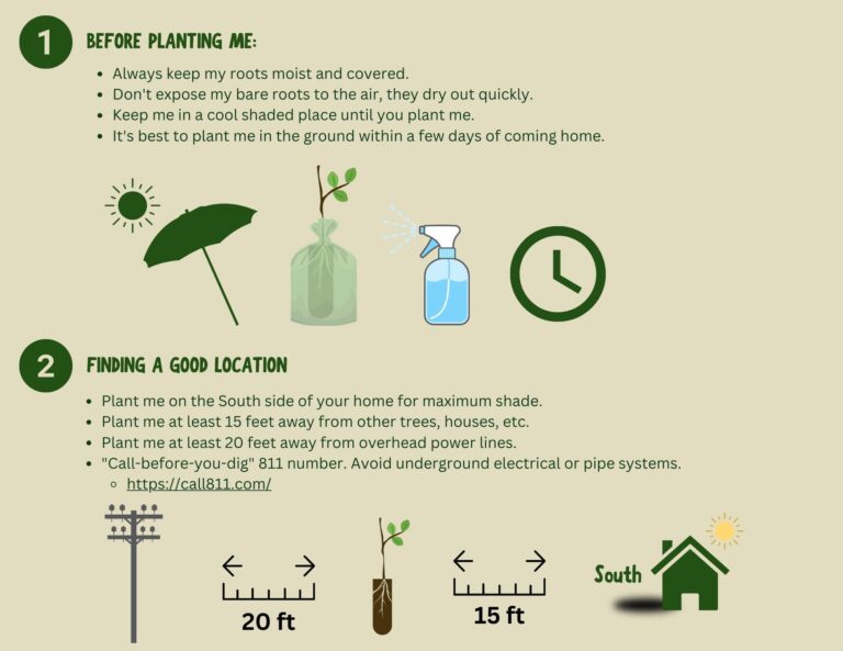 Tree Planting Instructions | Neighborhood Forest