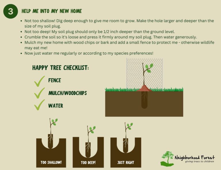 Tree Planting Instructions | Neighborhood Forest