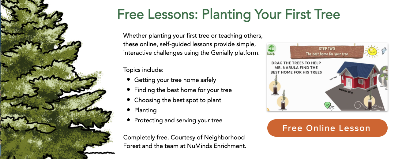 Your Trees Are Coming Soon! | Neighborhood Forest