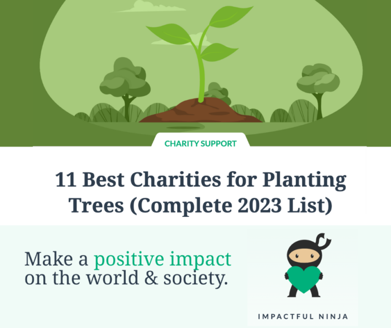 Neighborhood Forest Recognized as Top Tree Planting Charity ...