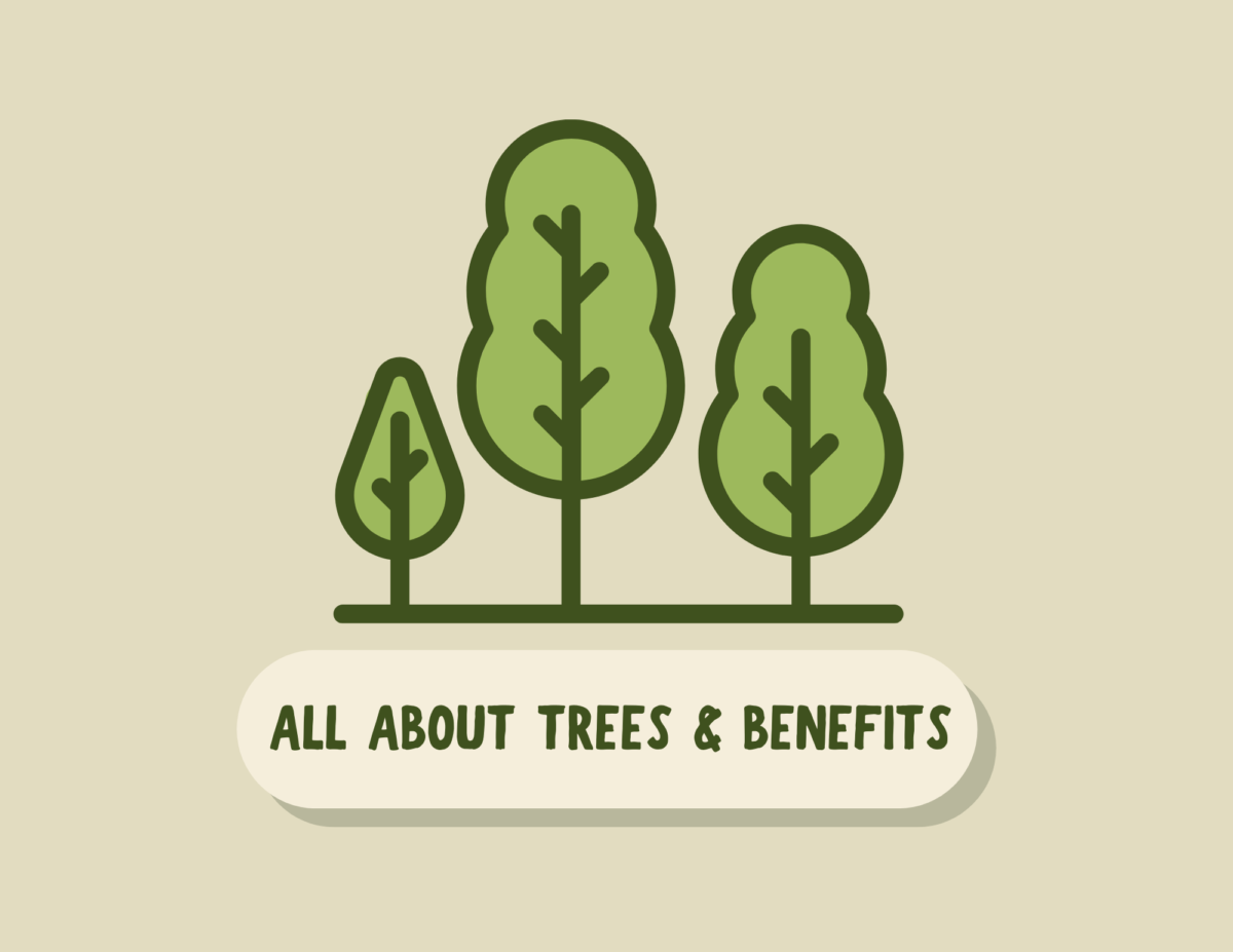 Resources | Neighborhood Forest