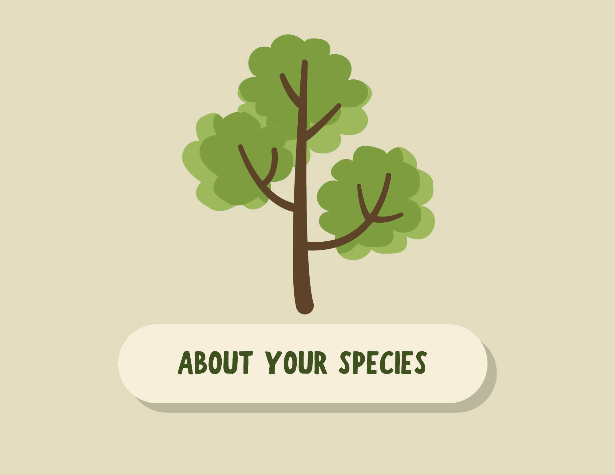 Resources | Neighborhood Forest